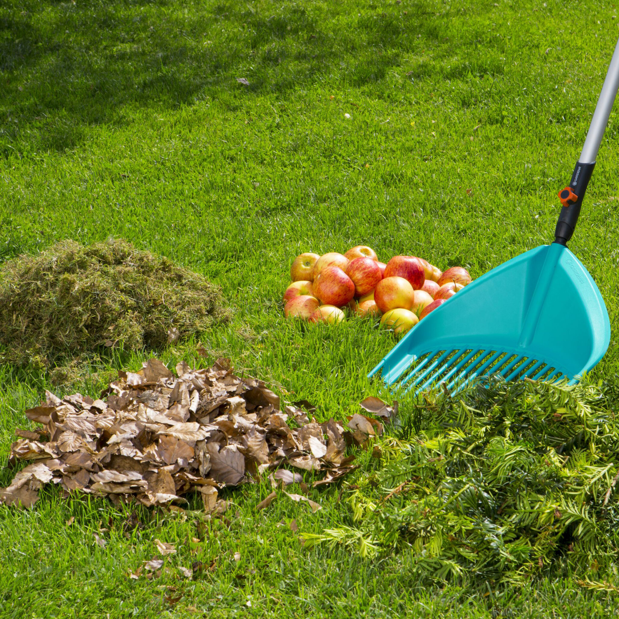 CS-harava-lapio - Viherkauppa