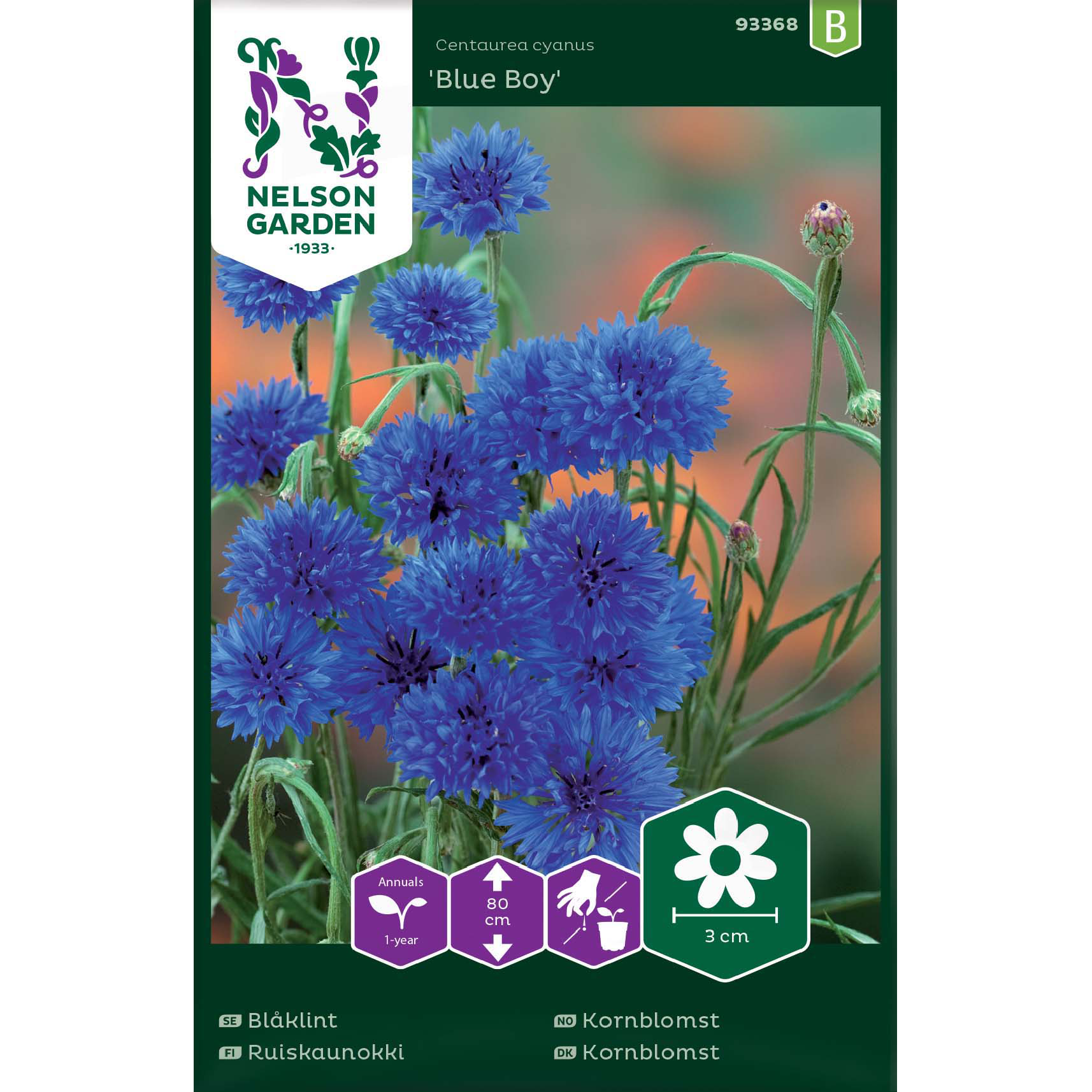 Ruiskaunokki Blue Boy Viherkauppa