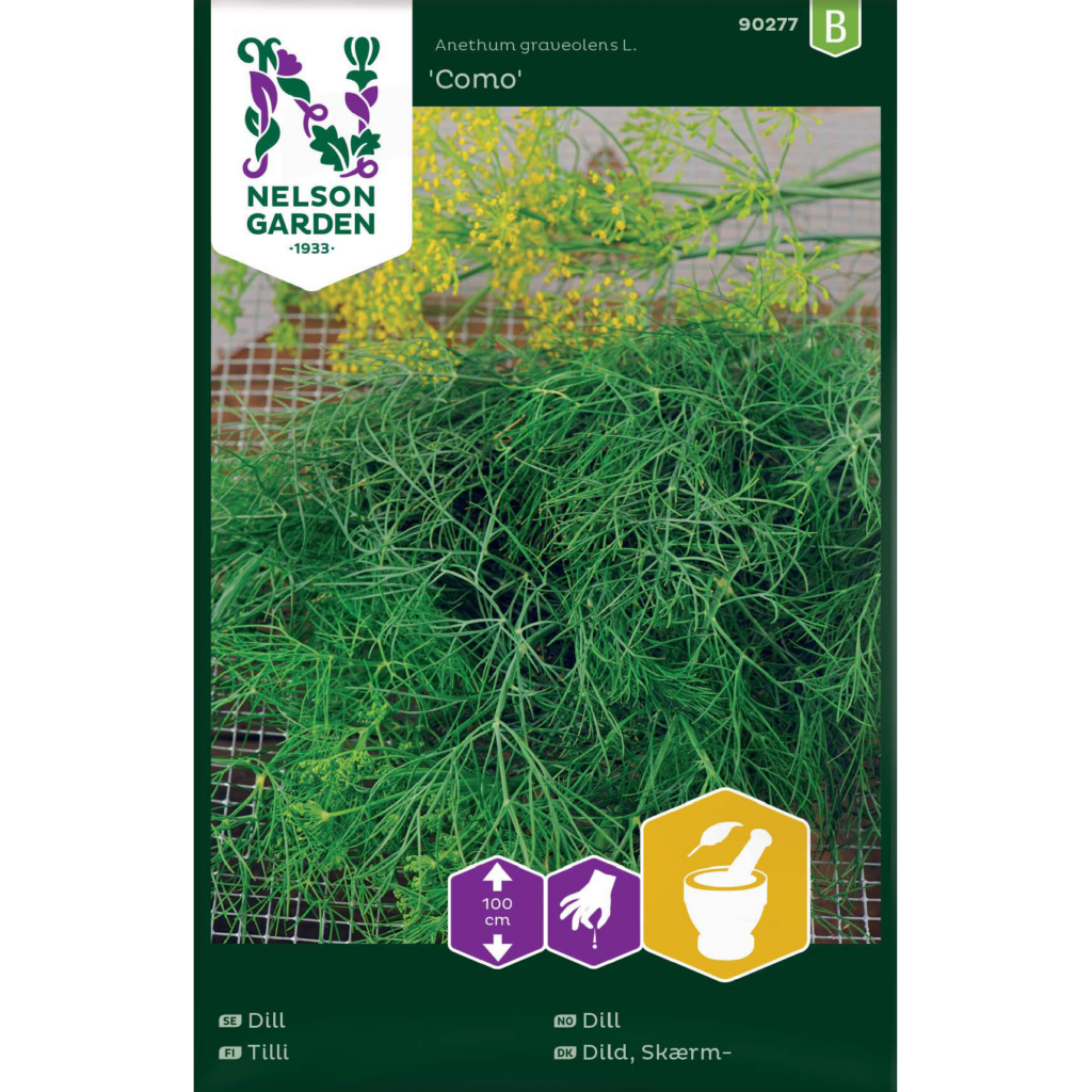 Tilli 'Como' - Viherkauppa