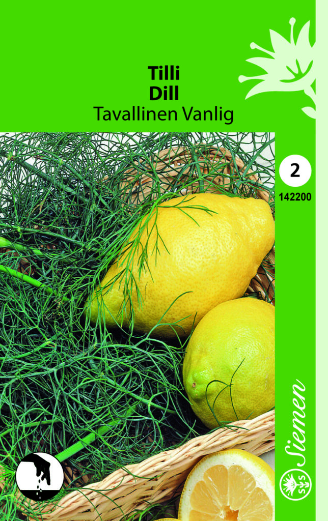 Tilli tavallinen - Viherkauppa