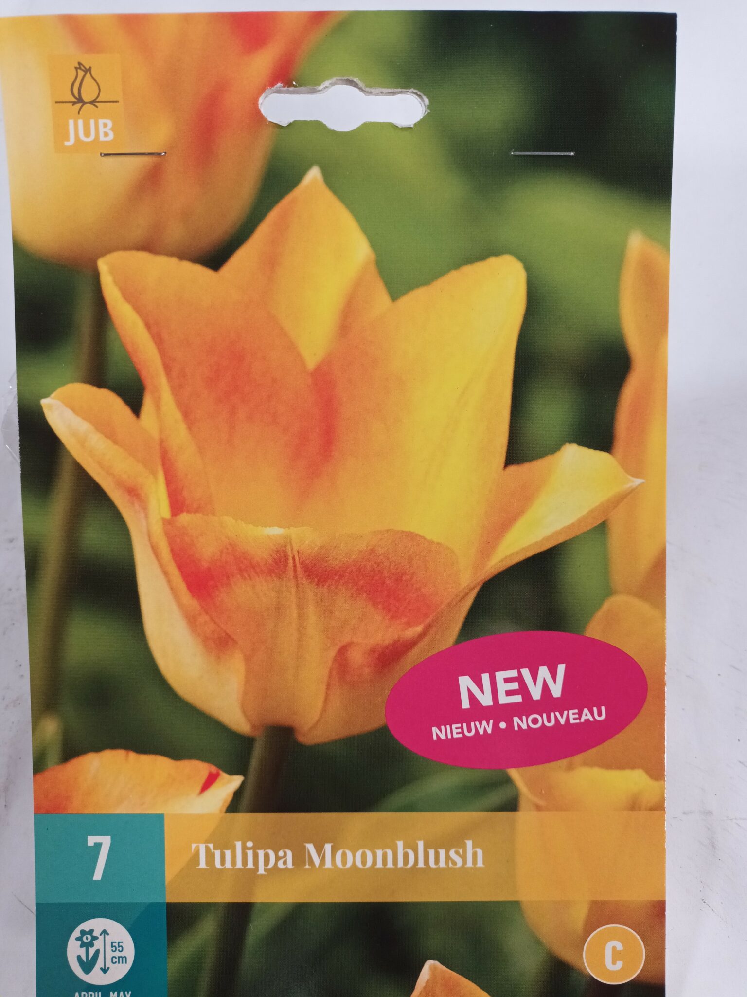 Tulppaani 'Moonblush' 7 kpl - Viherkauppa