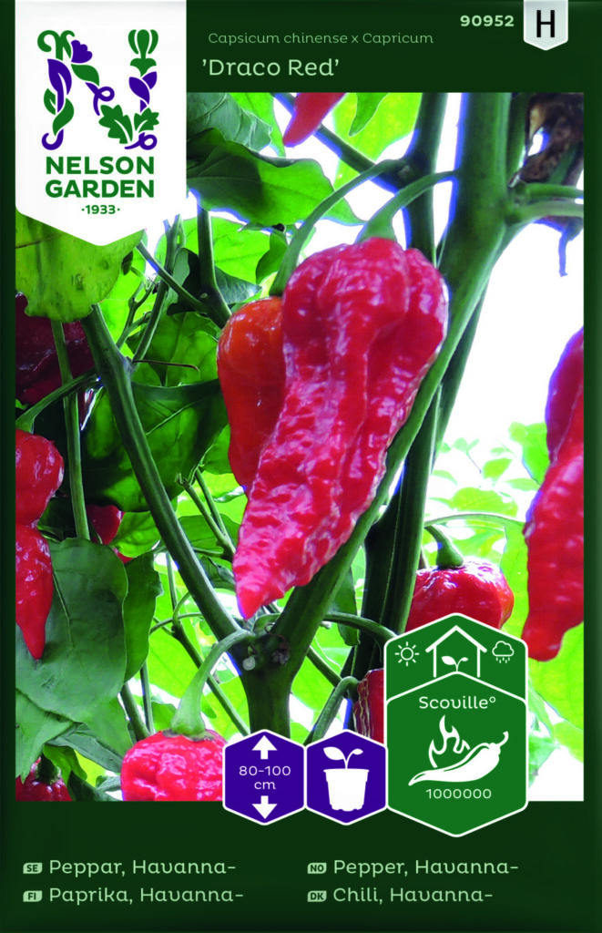 Havannapaprika 'Draco Red' - Viherkauppa